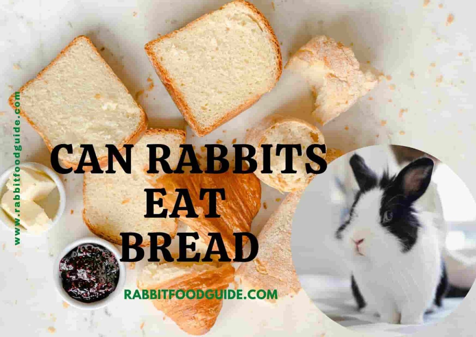 Can Rabbits Eat Bread? Risk, Issues & Complete Guide