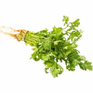 Can Rabbits Eat Cilantro? Benefits & Extra Preparation Guide